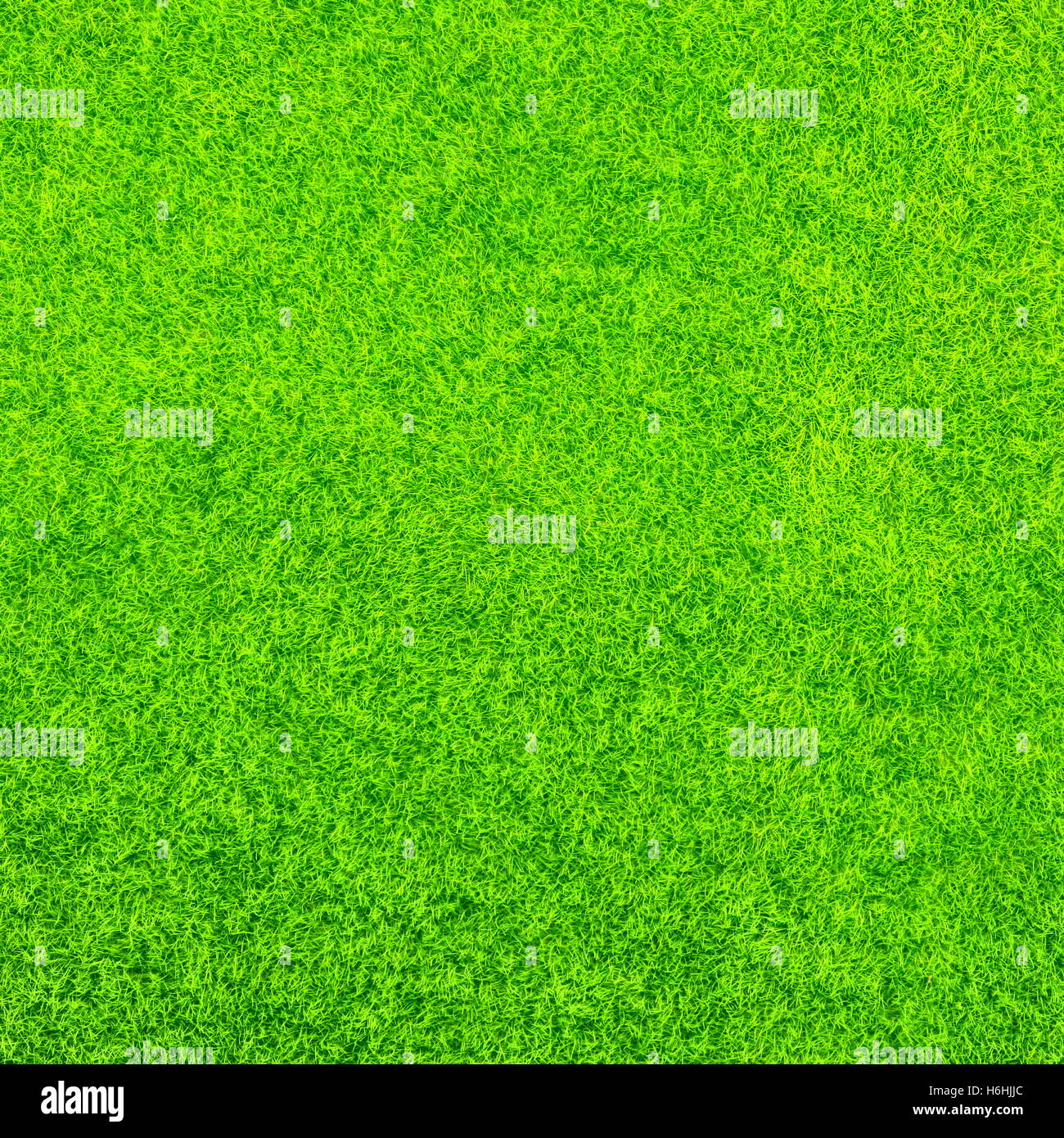 Green grass background texture , Outdoor textured empty pattern Stock ...