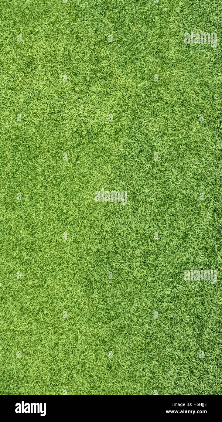 Green grass background texture , Outdoor textured empty pattern Stock ...