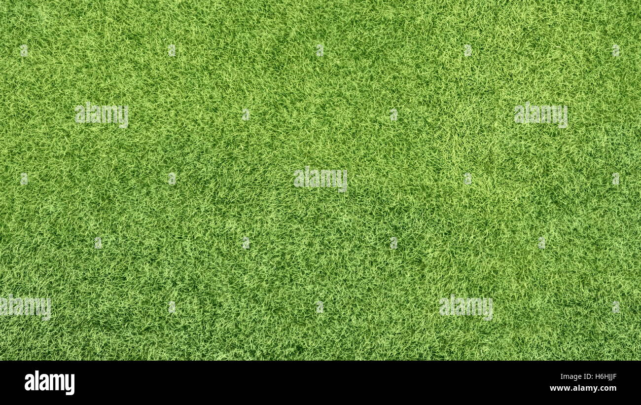 Green grass background texture , Outdoor textured empty pattern Stock ...