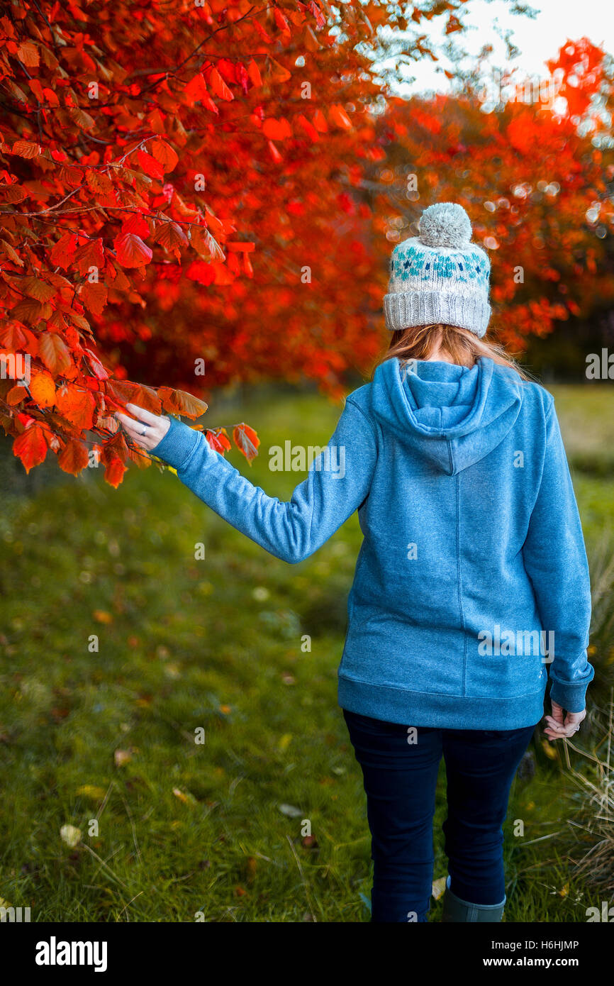 Redautumn hi-res stock photography and images - Alamy