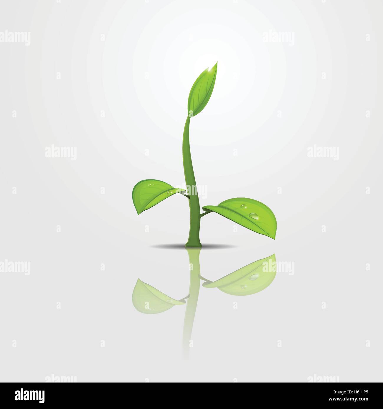 Seedling Stock Vector Images - Alamy
