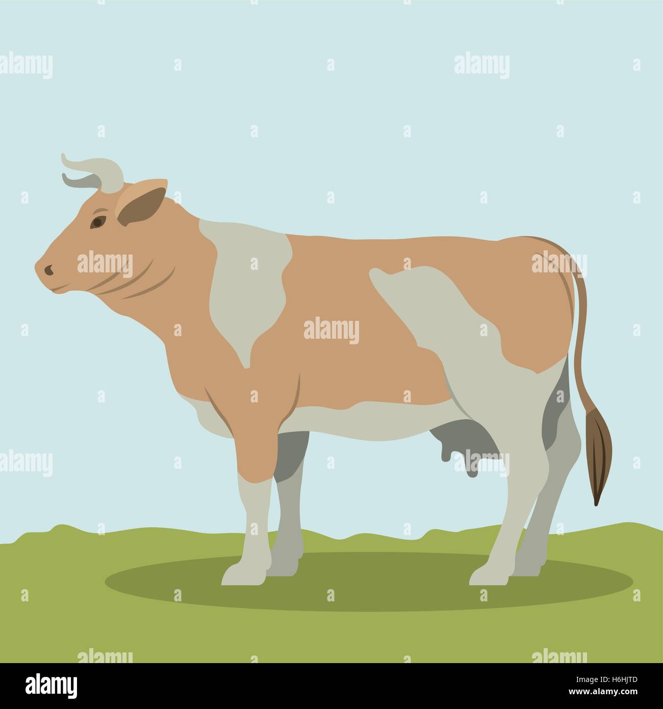 Cow icon. Livestock animal life nature and fauna theme. Colorful design ...