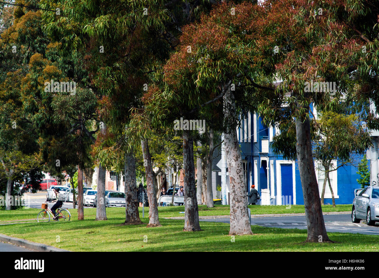 Street scene, Carlton, Melbourne, Victoria, Australia Stock Photo - Alamy