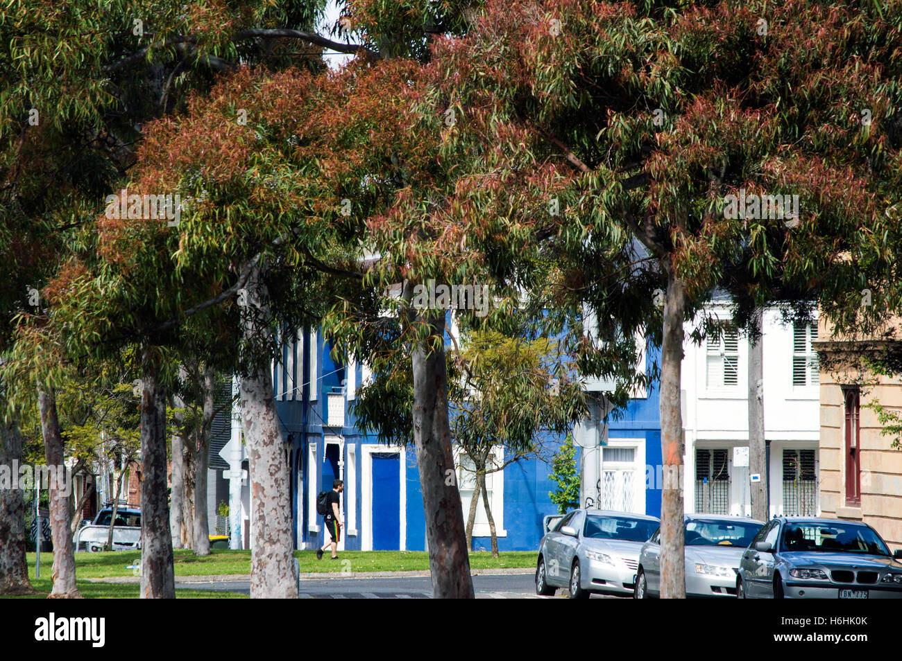 Street scene, Carlton, Melbourne, Victoria, Australia Stock Photo - Alamy