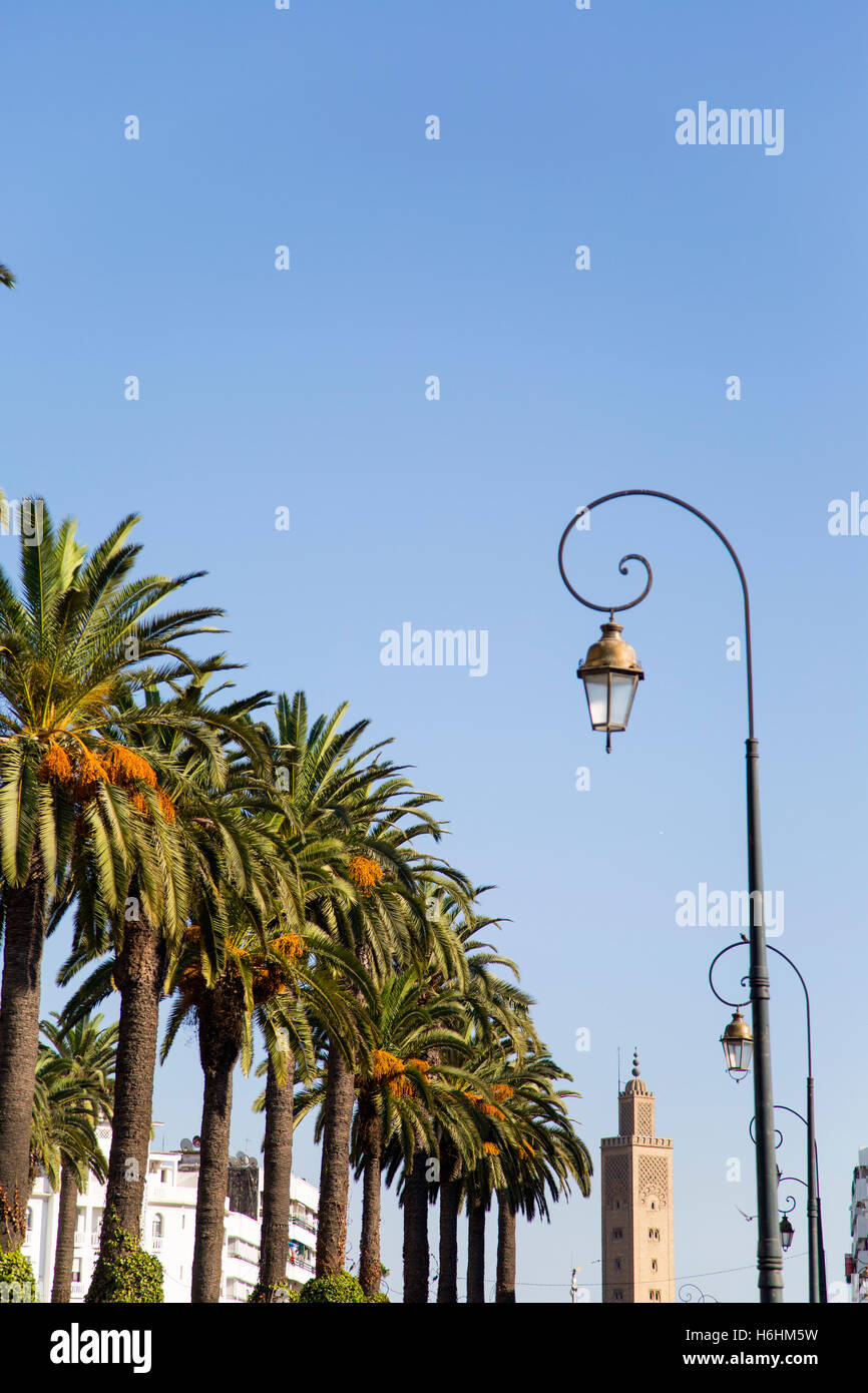 Morocco rabat street view hi-res stock photography and images - Alamy