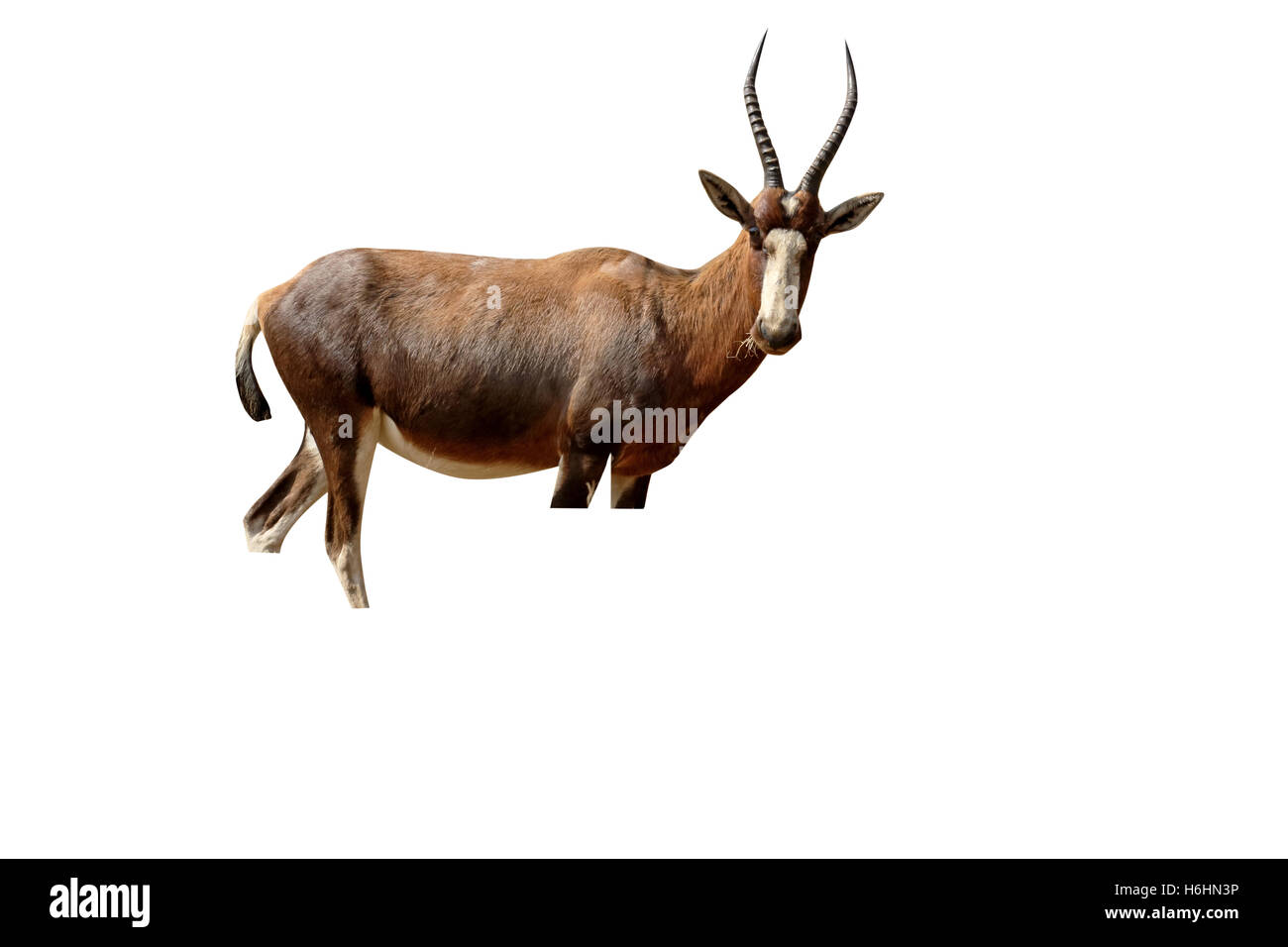 2015 south Cut Out Stock Images & Pictures - Alamy