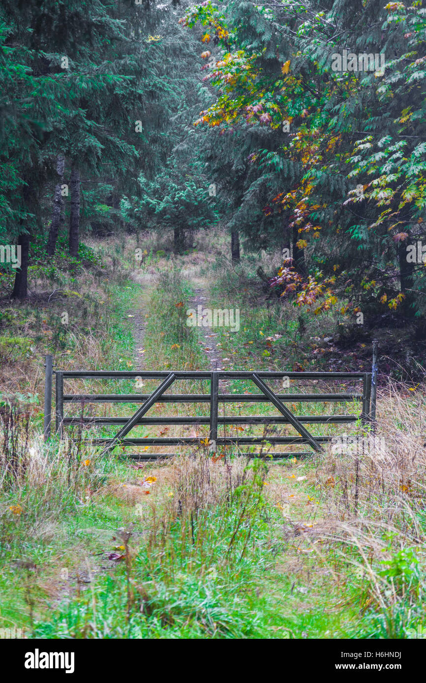 Five-bar metal gate closing the entrance to a rarely used driveway ...