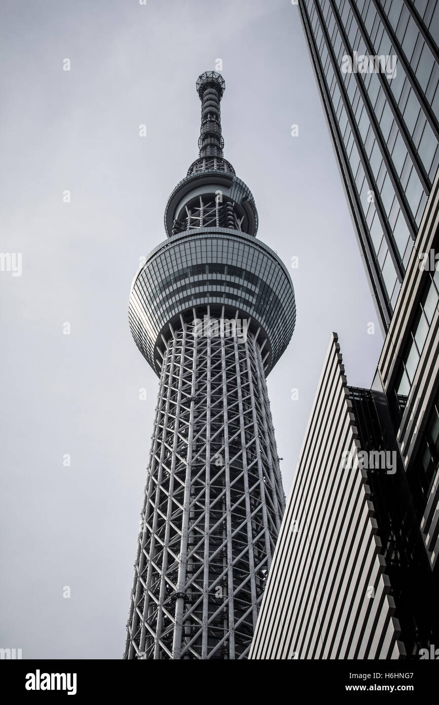 Tokyo Sky Tree Views, Tokyo, Japan Tokyo Sky Tree Views, Tokyo, Japan ...