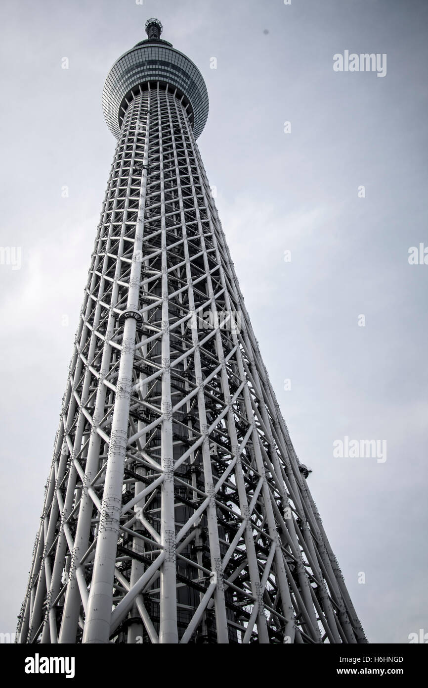 Tokyo Sky Tree Views, Tokyo, Japan Tokyo Sky Tree Views, Tokyo, Japan ...