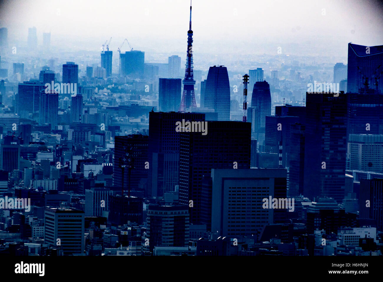 Tokyo Sky Tree Views, Tokyo, Japan Tokyo Sky Tree Views, Tokyo, Japan Stock Photo - Alamy