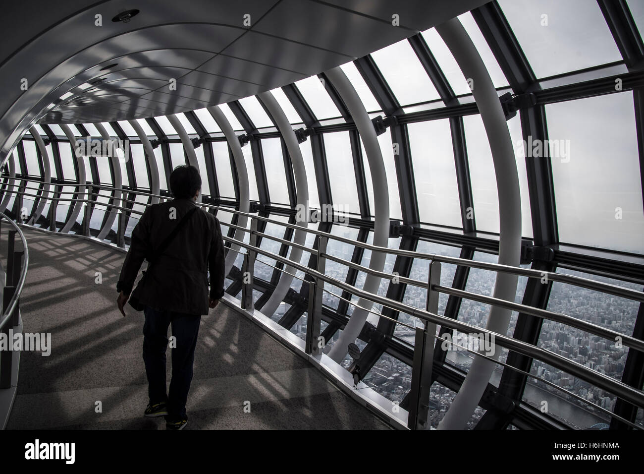 Tokyo Sky Tree Views, Tokyo, Japan Tokyo Sky Tree Views, Tokyo, Japan ...