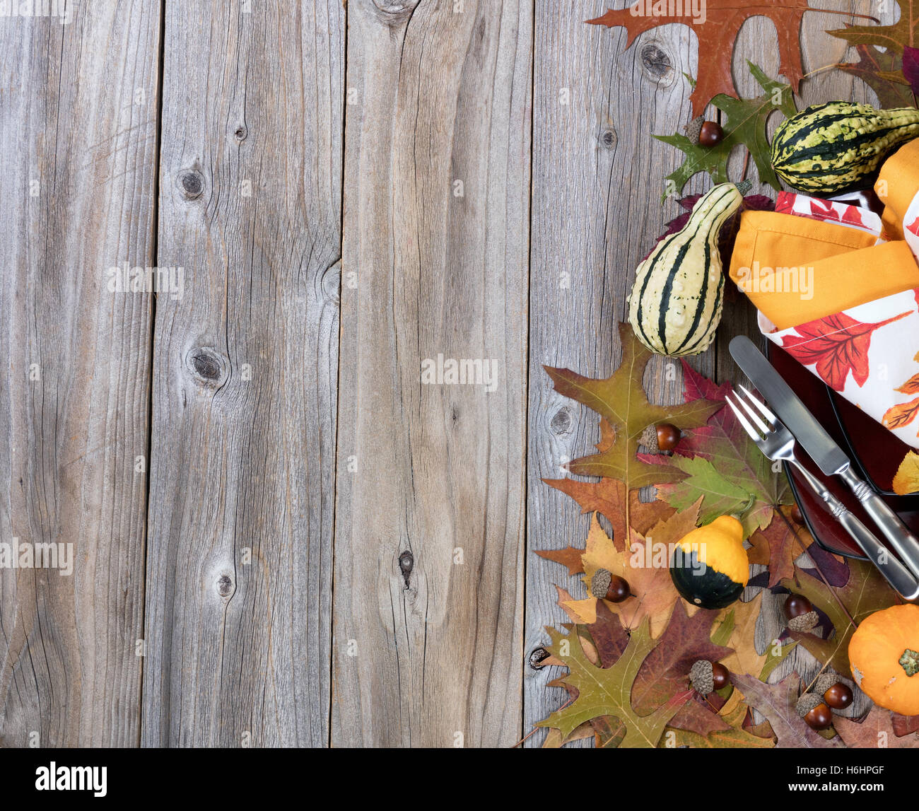 Right side border of autumn dinner setting with real gourd decorations ...