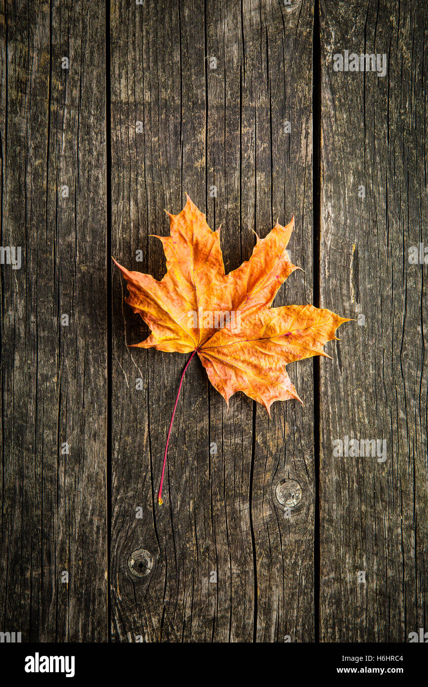 Colorful autumn leaf on old wooden table. Top view Stock Photo - Alamy