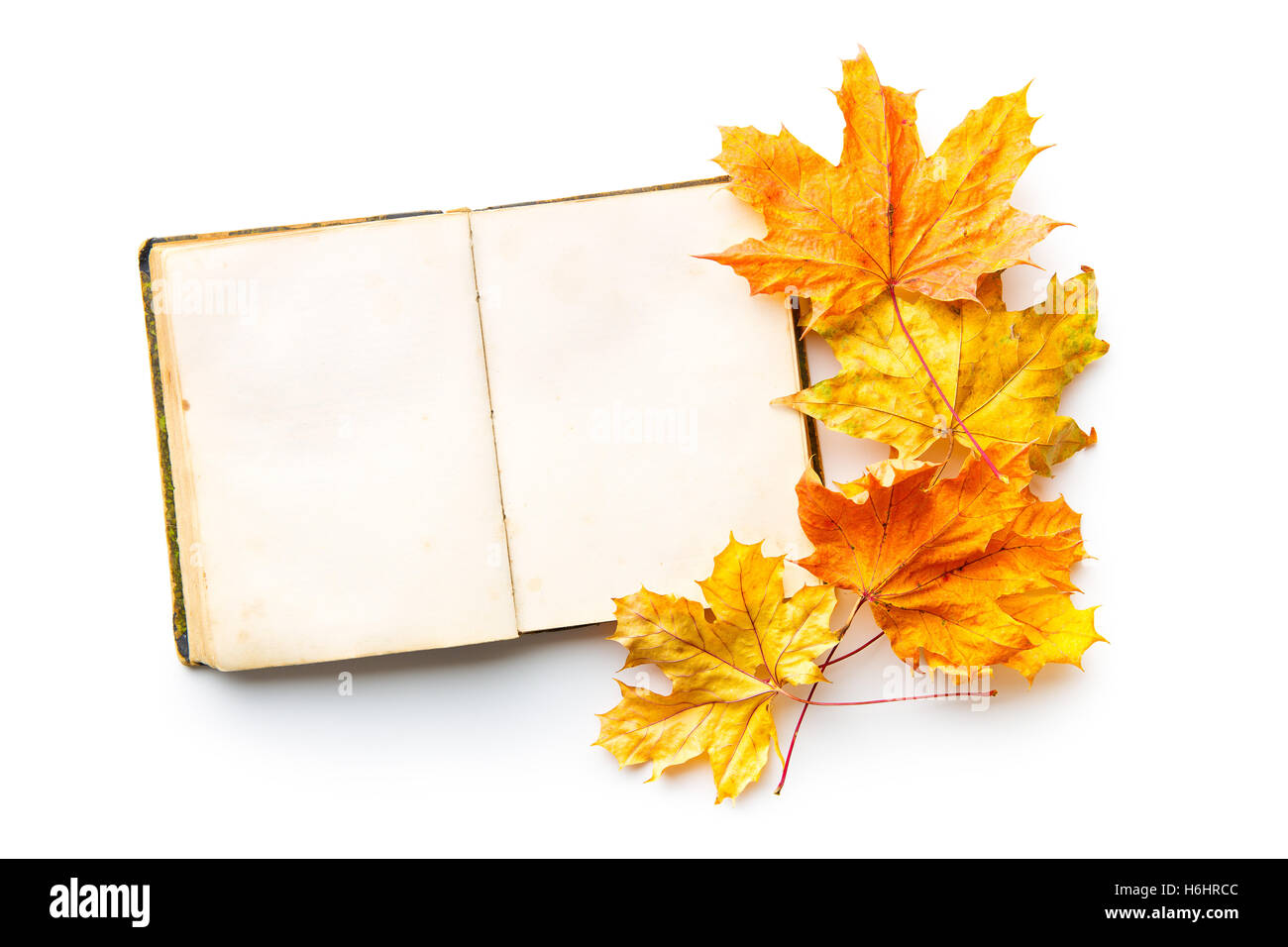 Autumn beautiful background top Cut Out Stock Images & Pictures - Alamy