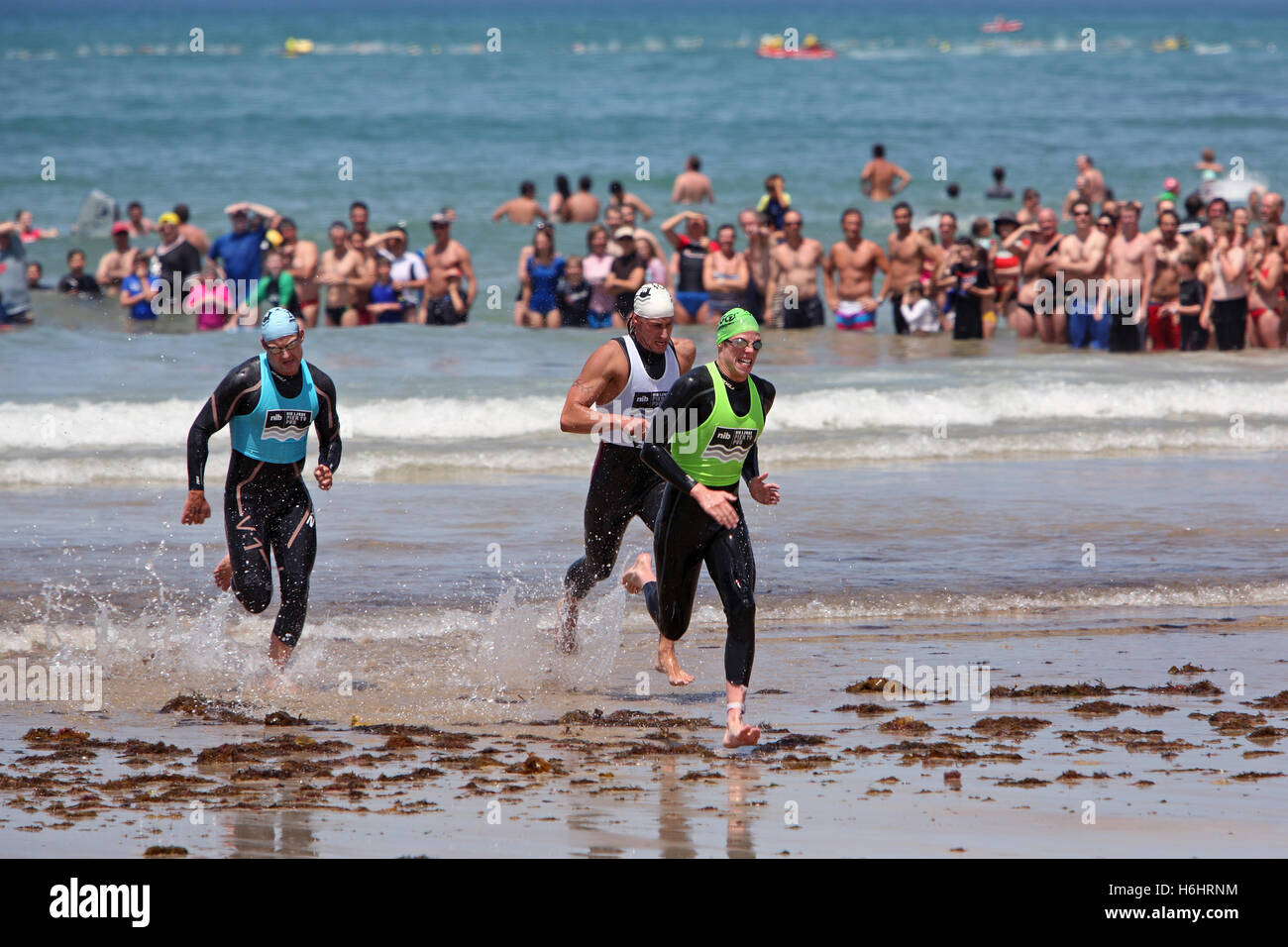The annual Pier to Pub open water swimming race in Lorne. Victoria ...