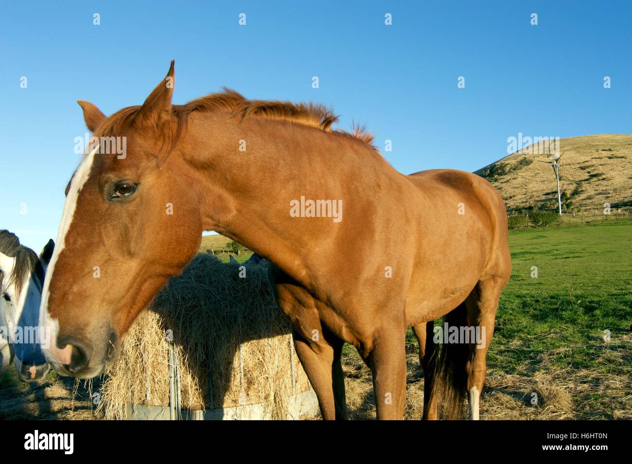 Healthy food campaign launch in Aberdeen with Richard Lochead Scottish ...
