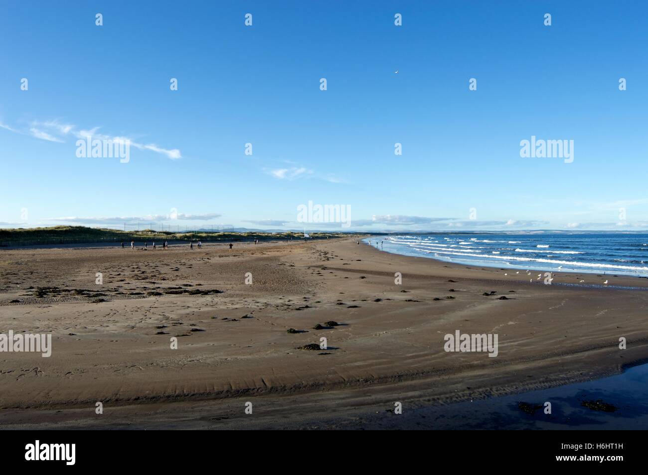 People enjoying St Andrews beach Stock Photo - Alamy