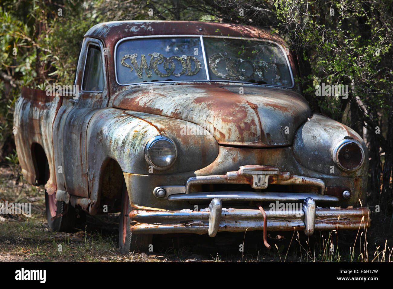 Rusting car wreck (Standard Vanguard Pickup). Victoria, Australia Stock ...
