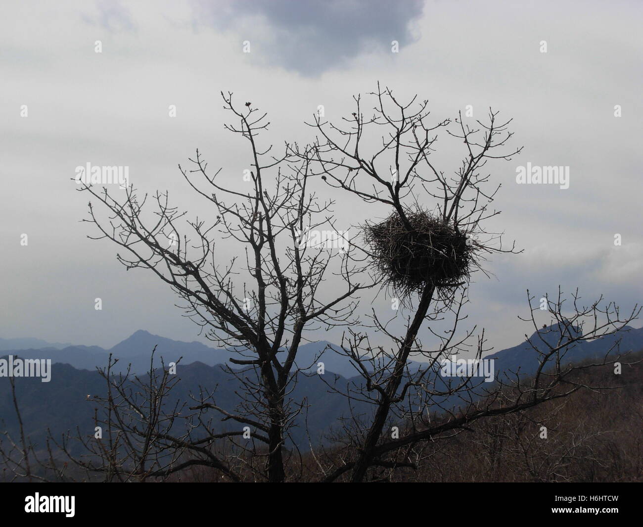 From the great wall of china hi-res stock photography and images - Alamy