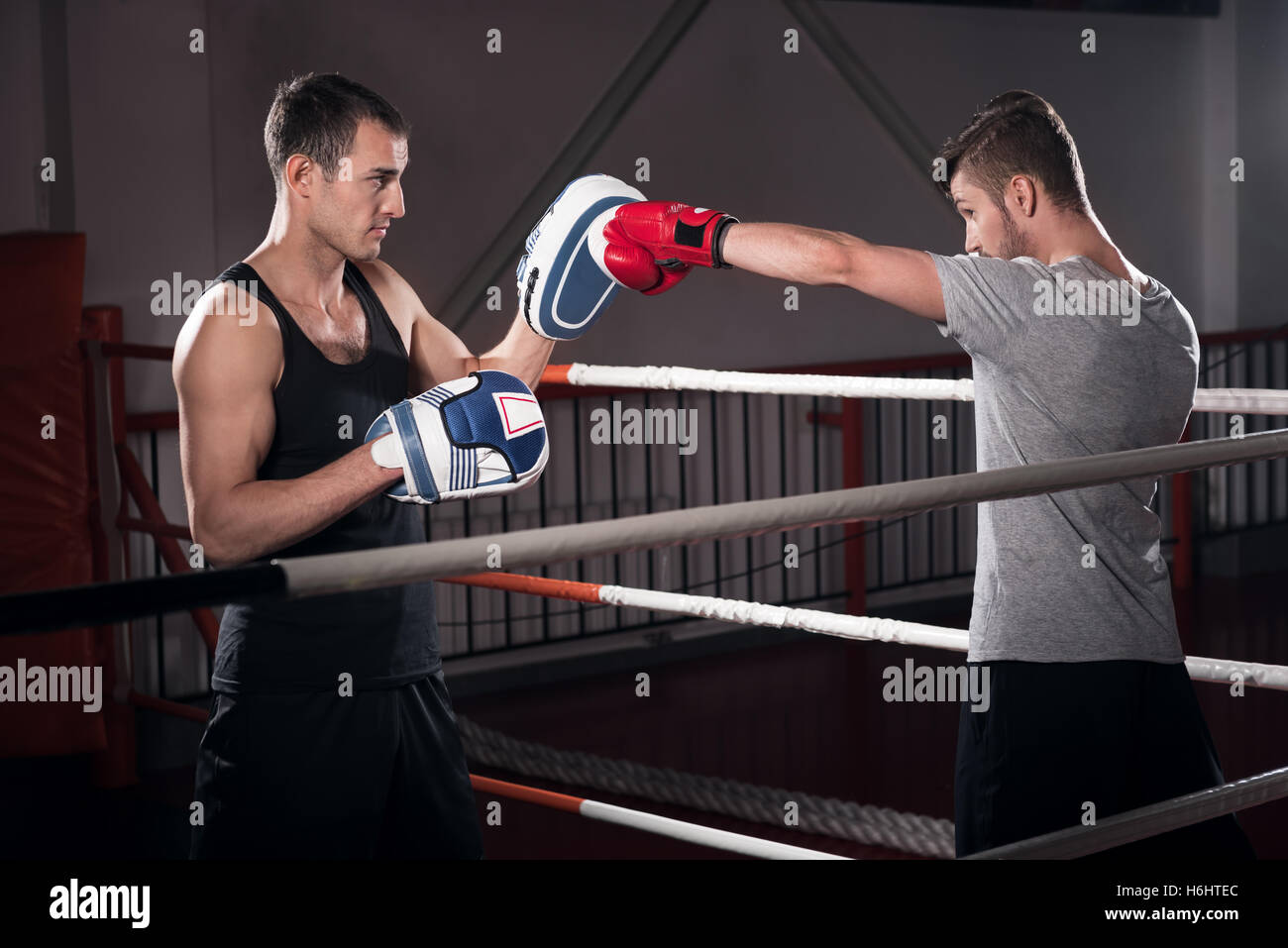 Men practicing boxing on ring Stock Photo - Alamy