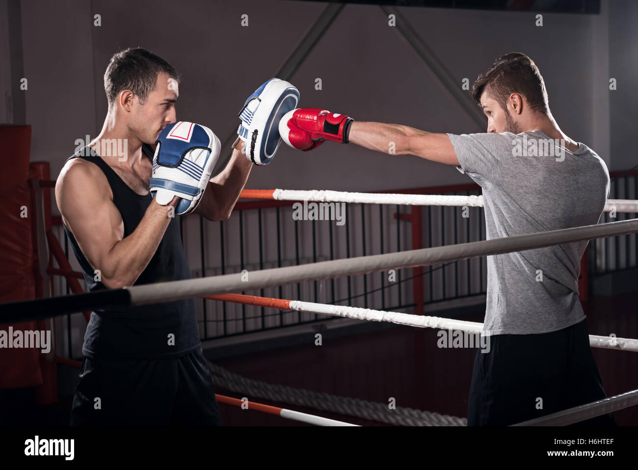 Men practicing boxing on ring Stock Photo - Alamy