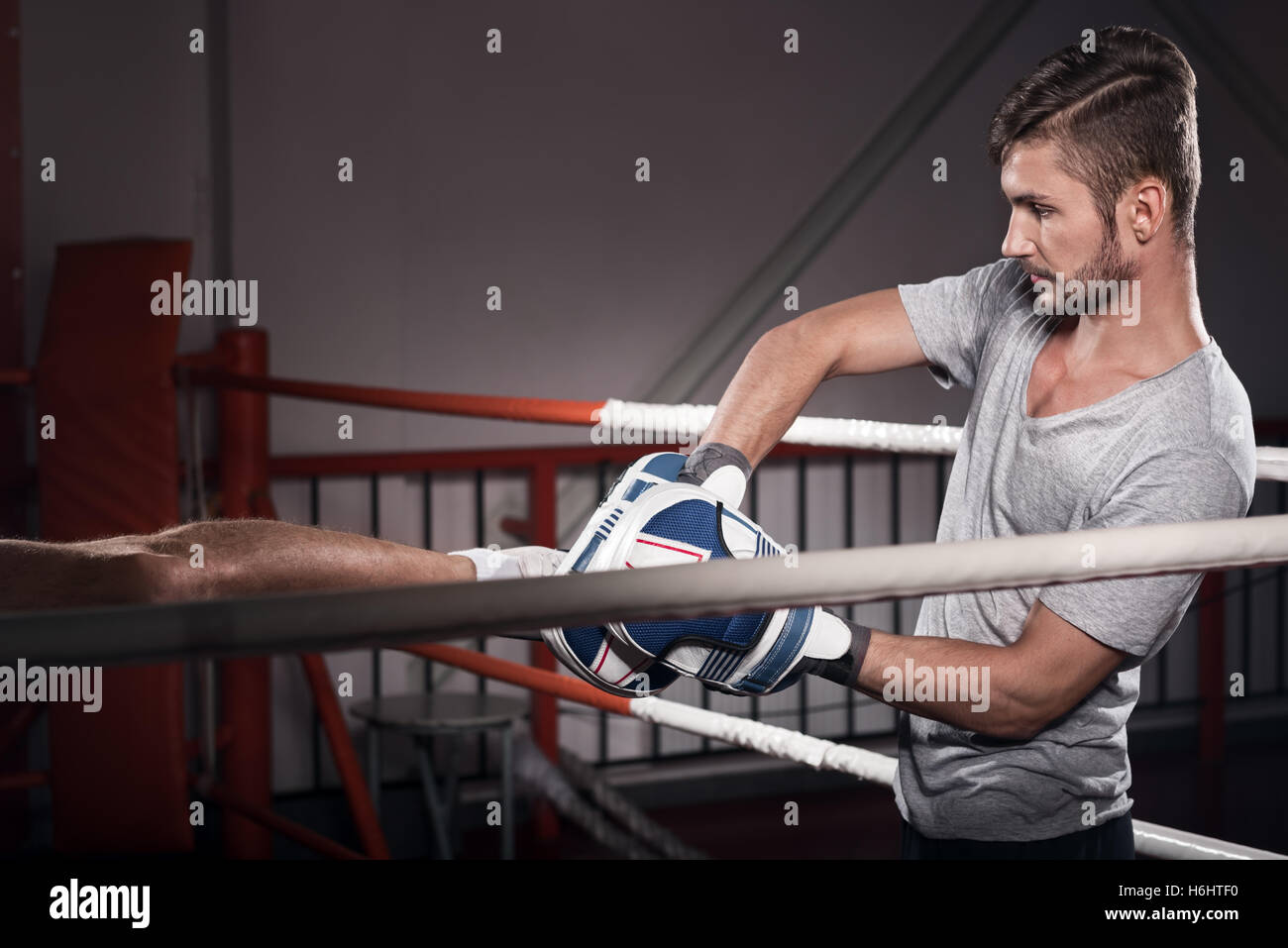 Boxer with trainer hi-res stock photography and images - Alamy