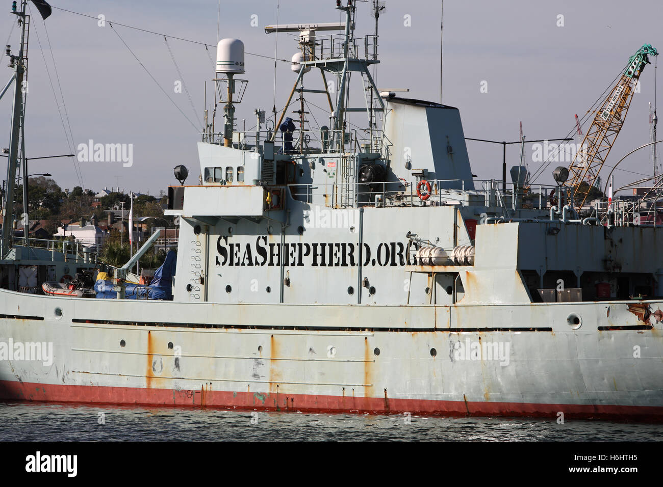 Sea shepherd vessel MV Robert Hunter at the pier in Melbourne's ...