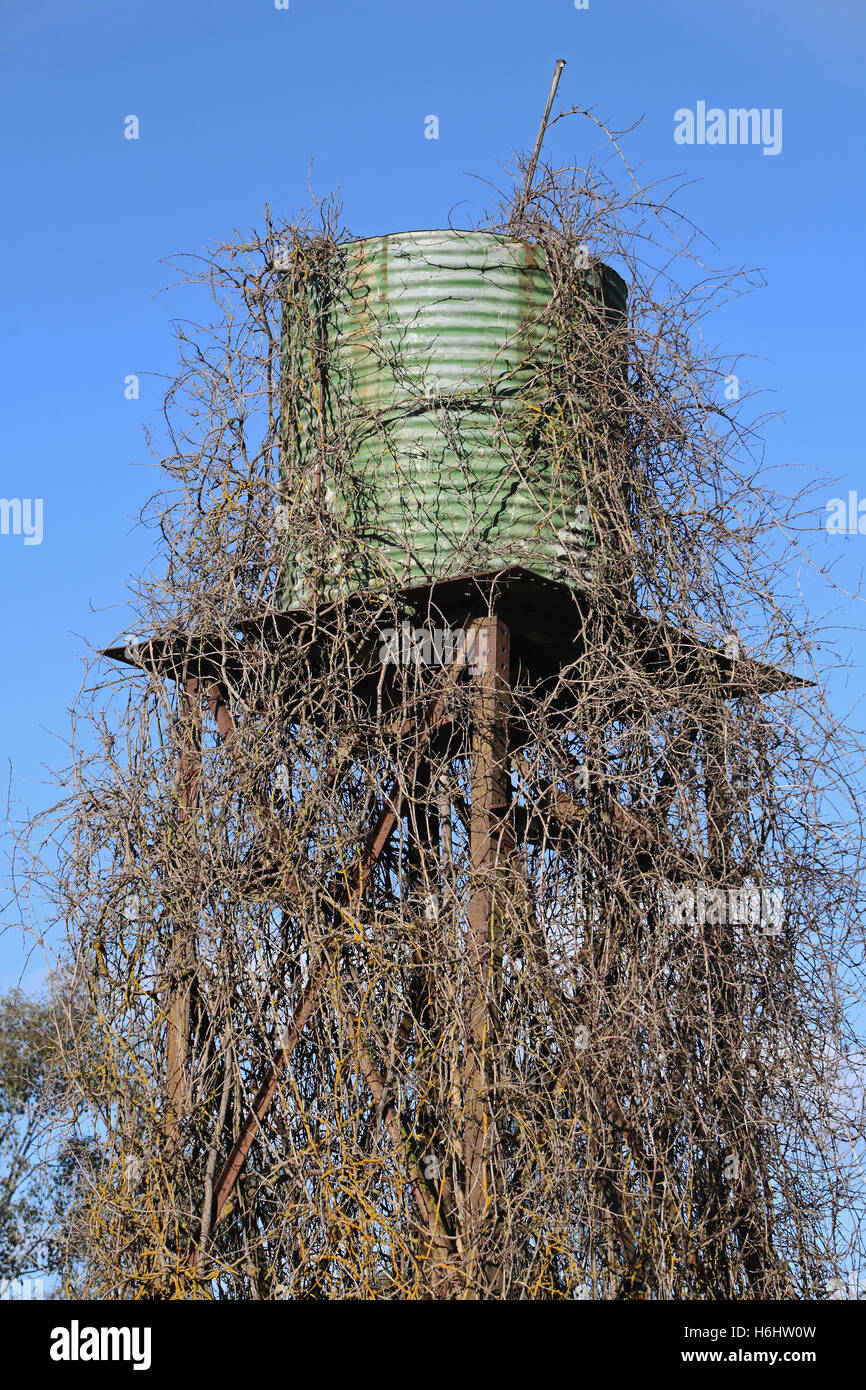 Tower overgrown hi-res stock photography and images - Alamy