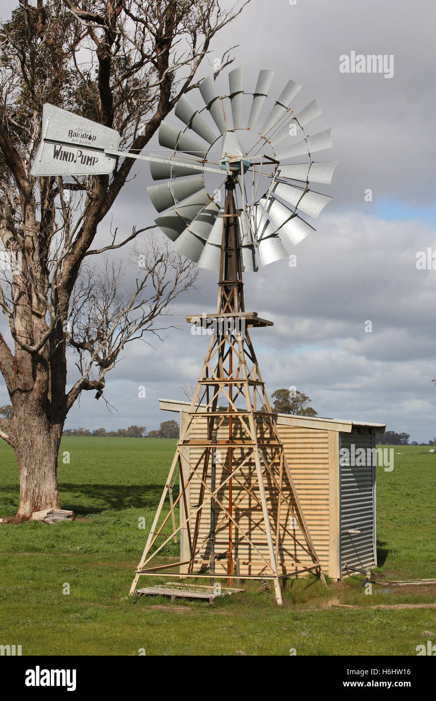 Windmill on a farm in victoria hi-res stock photography and images - Alamy