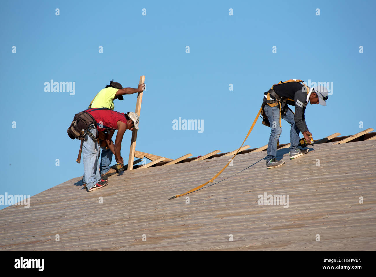 Team of roofers replacing a wooden roof of a Florida USA building Stock ...