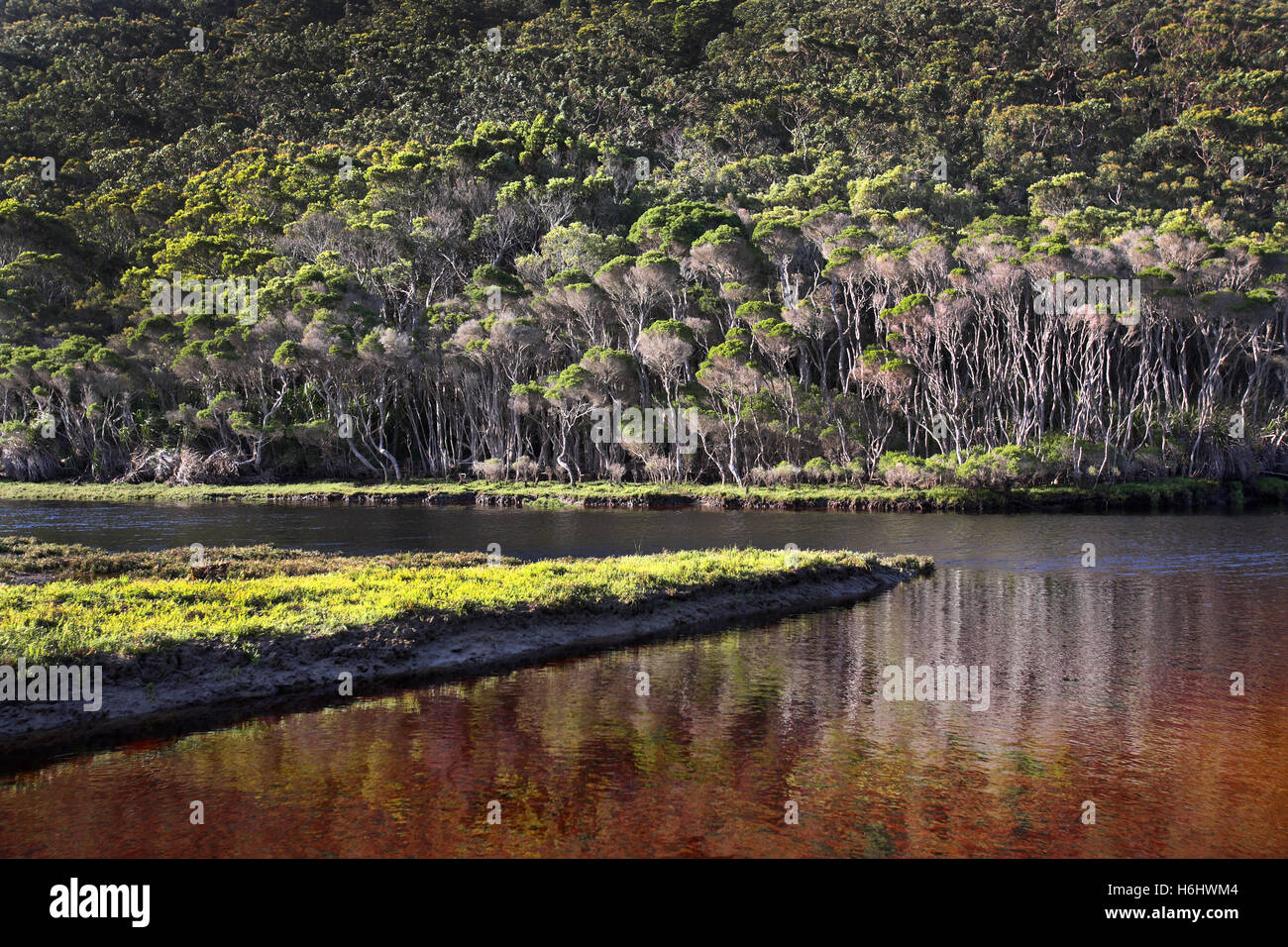 River inlet at Tidal River, Wilsons Prom. Victoria, Australia Stock ...