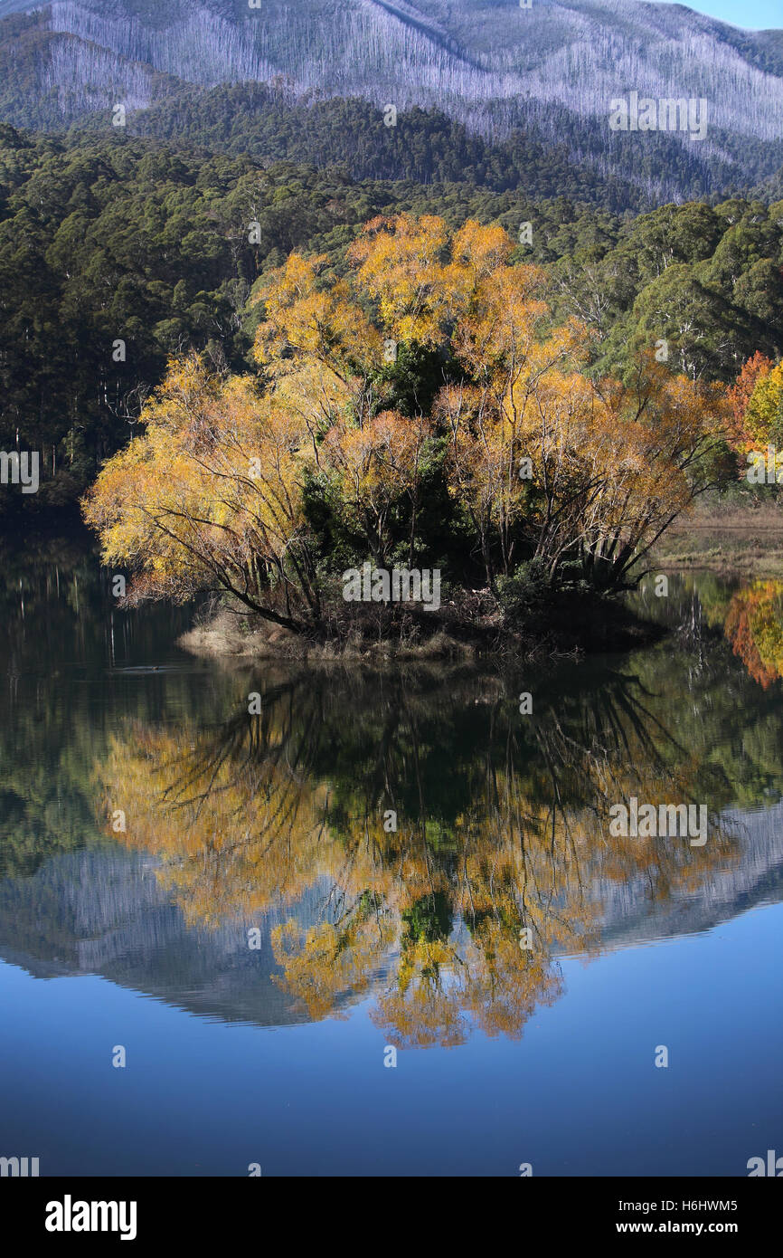 Bogong village hi-res stock photography and images - Alamy