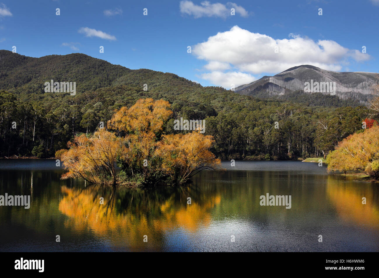 Bogong village hi-res stock photography and images - Alamy