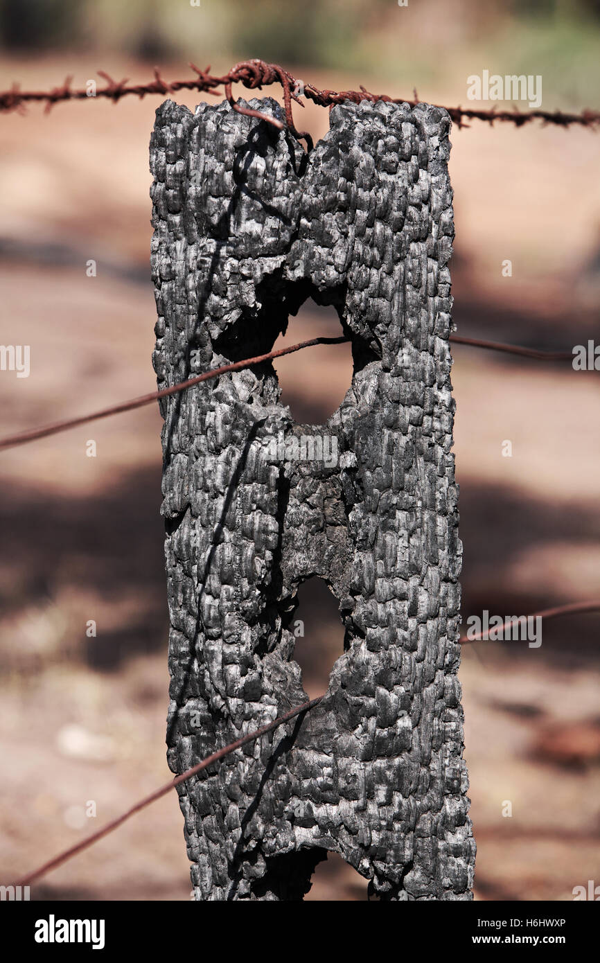 Fence post after bushfire. Victoria, Australia Stock Photo - Alamy