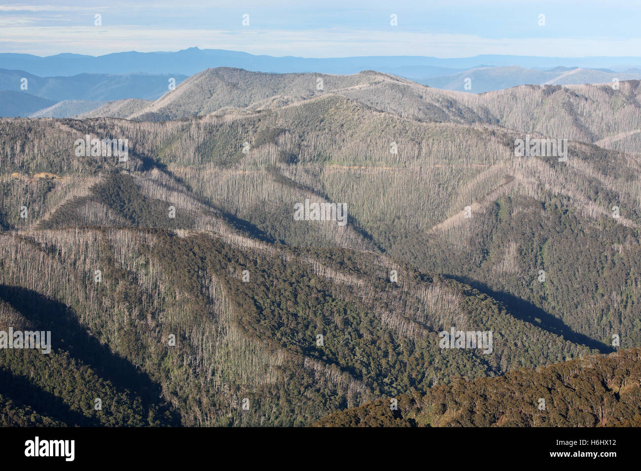 Victorian alps snow australia hi-res stock photography and images - Alamy