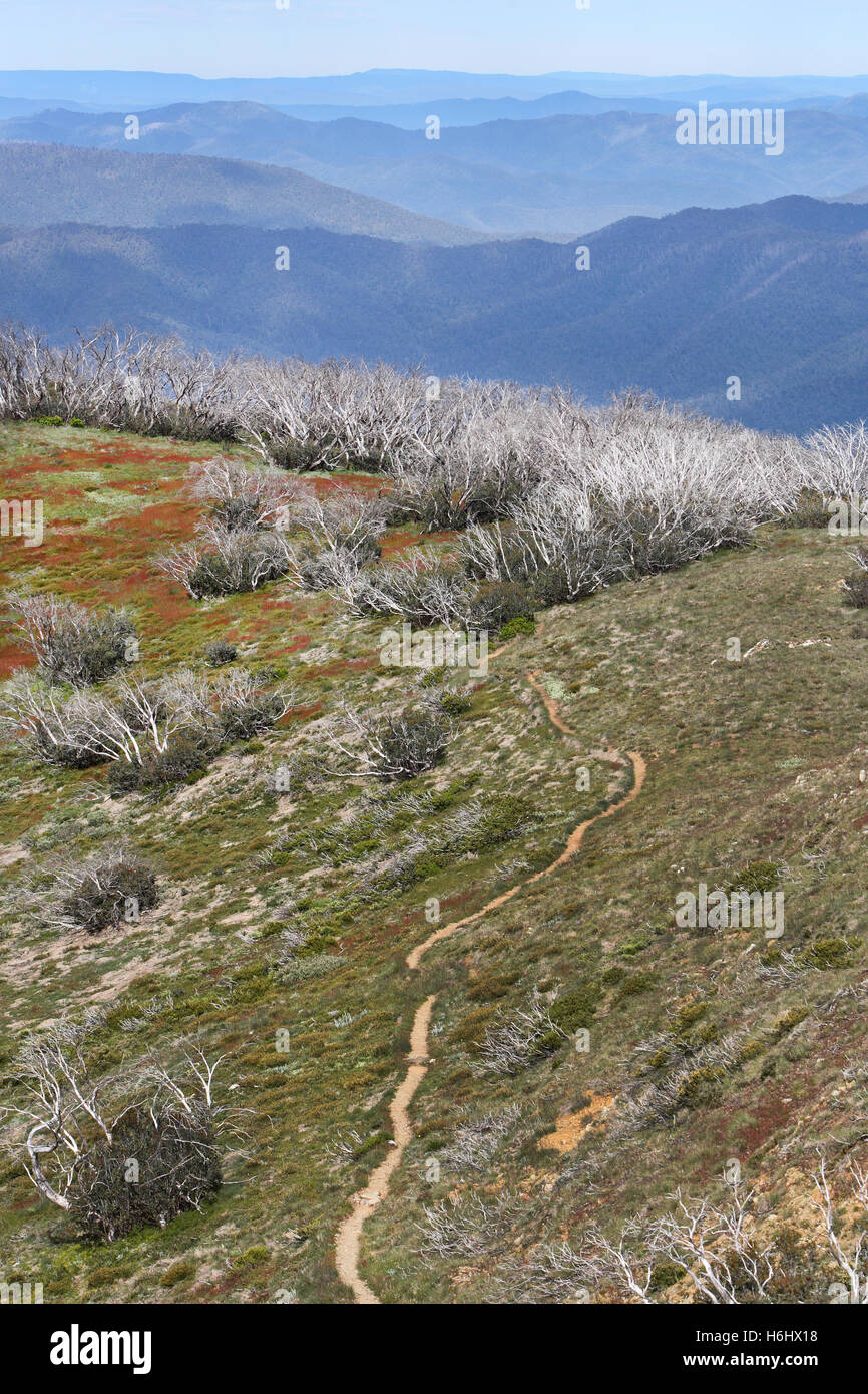 Mount feathertop and razorback hi-res stock photography and images - Alamy