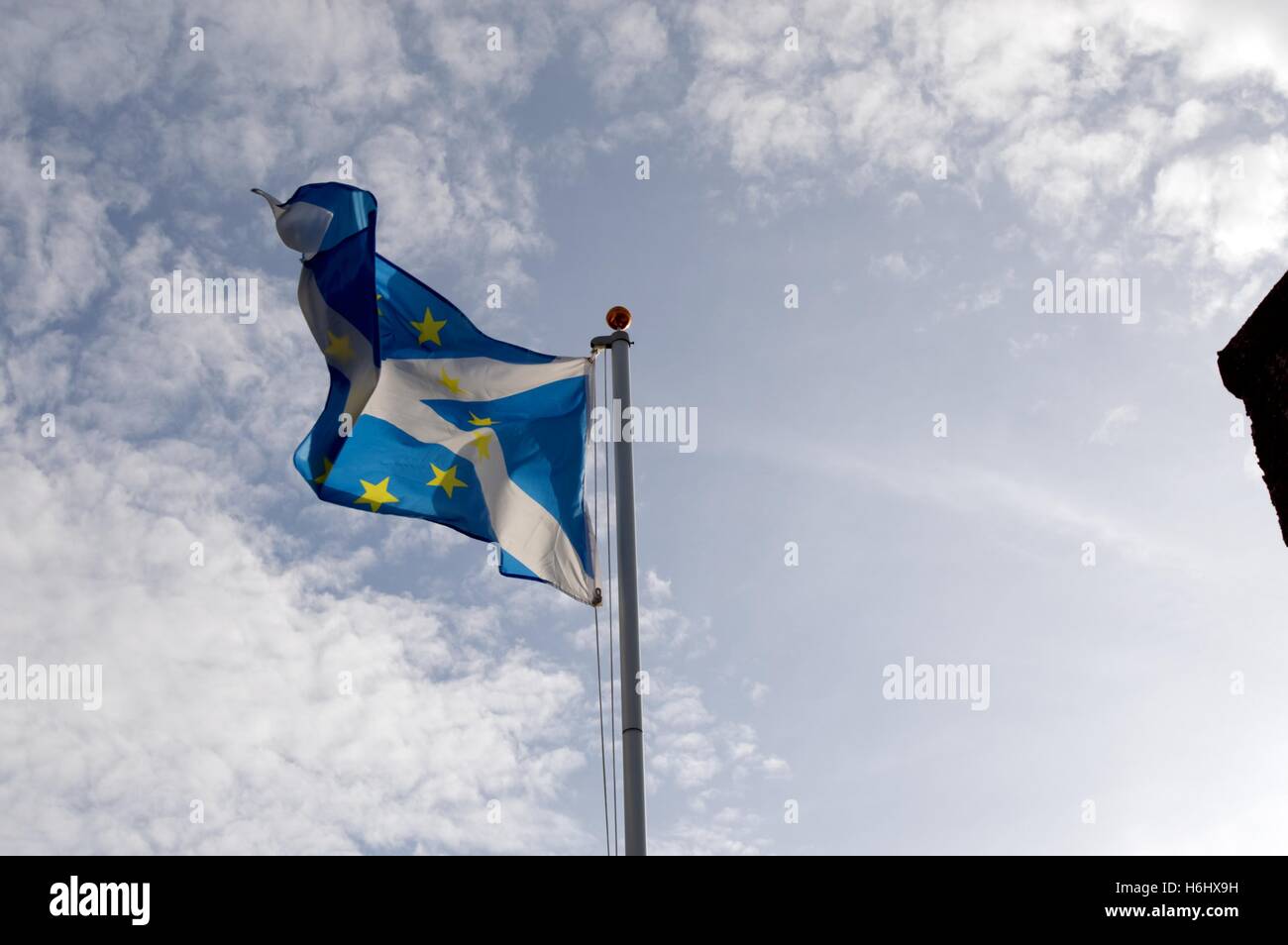 Flying The Scottish Flag Stock Photos & Flying The Scottish Flag Stock ...