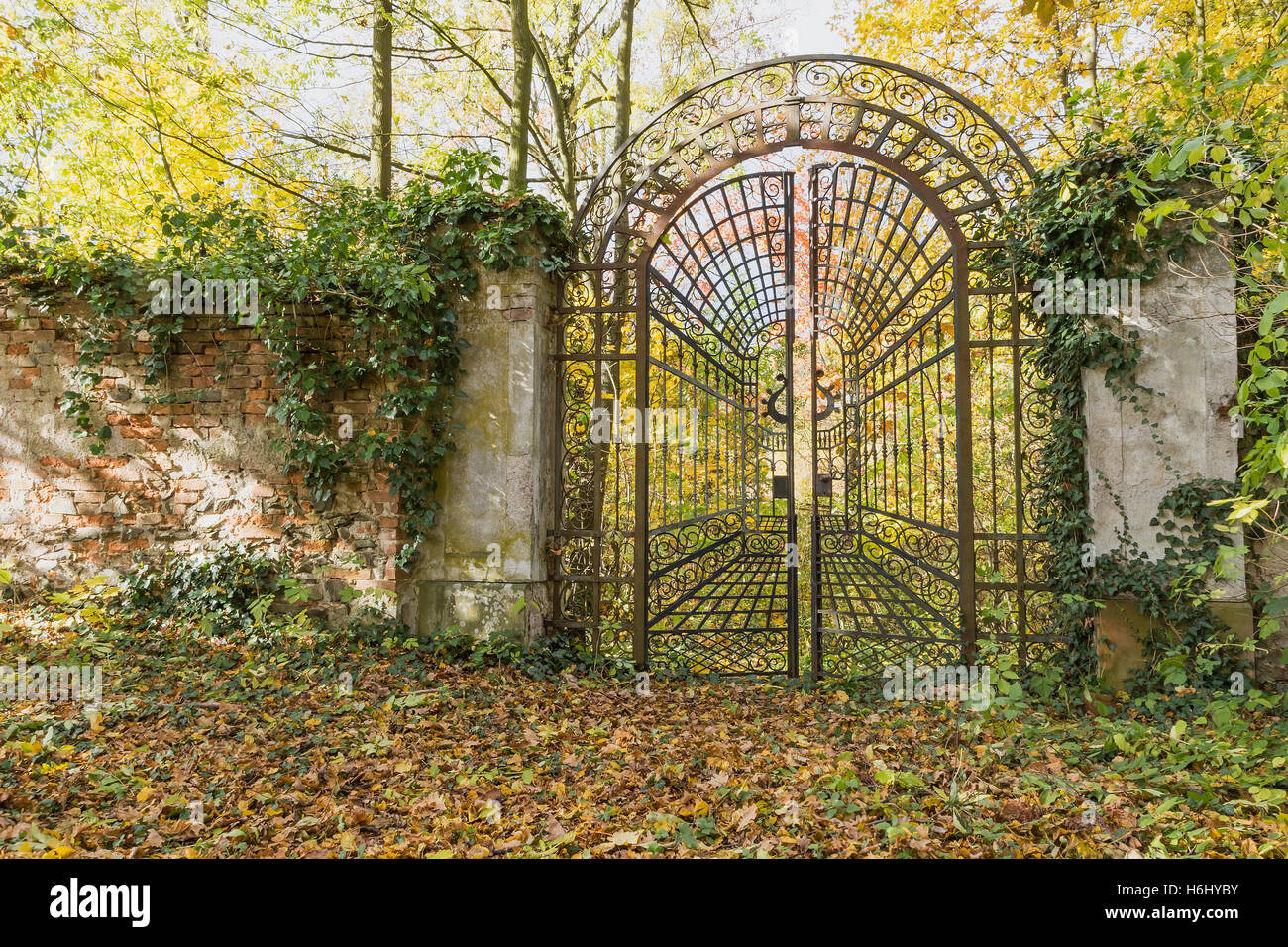 Beautiful old iron locked gate in the park with colorful autumn leaves ...