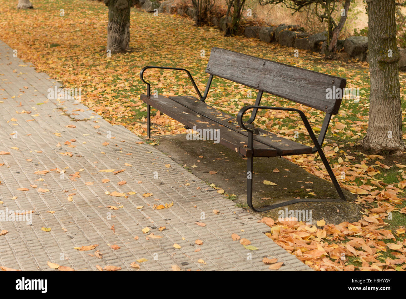 Lone bench on a ride full with yellow fallen leaves in the autumn Stock ...