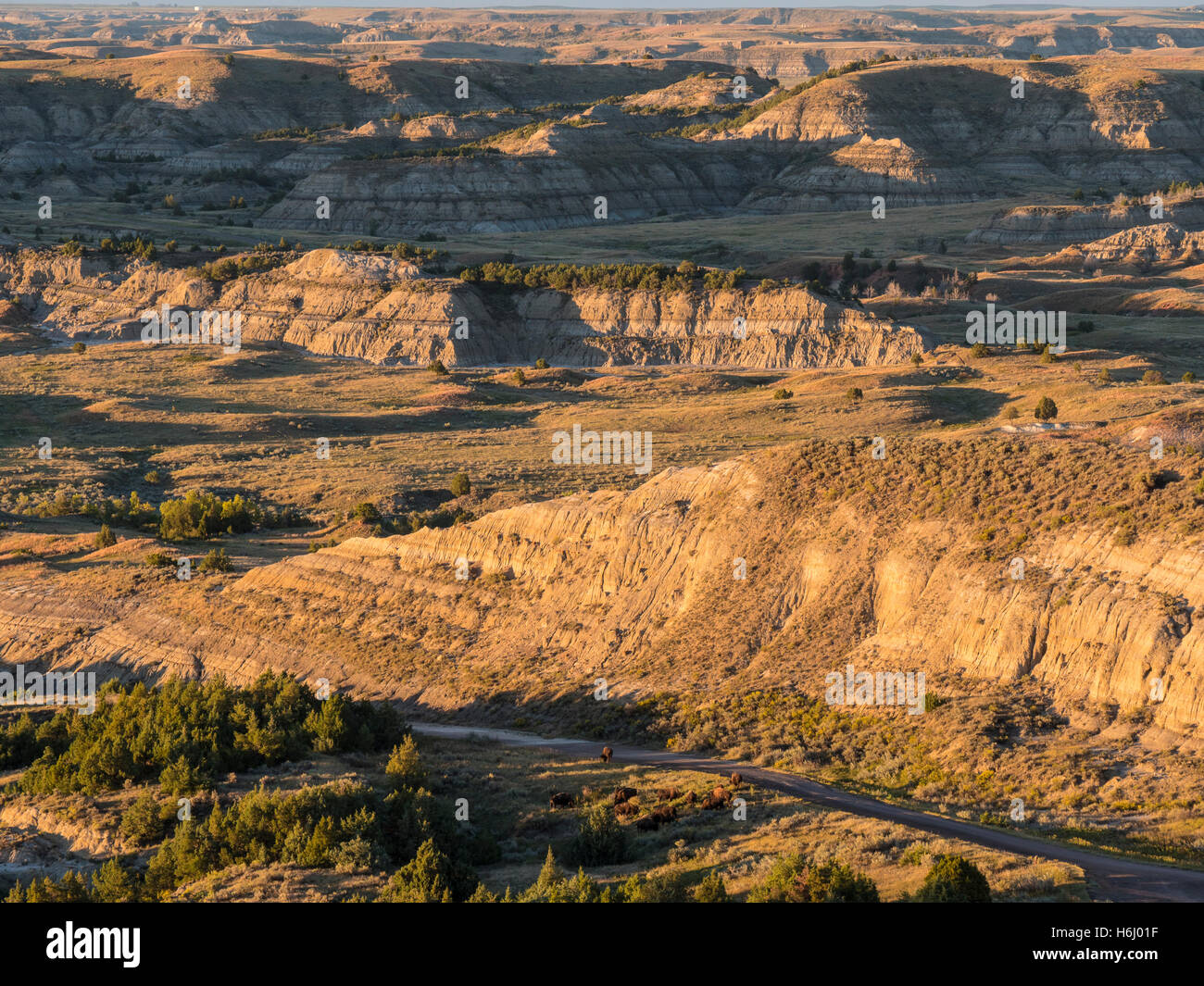 Scene from hill near Buck Hill, South Unit, Theodore Roosevelt National ...
