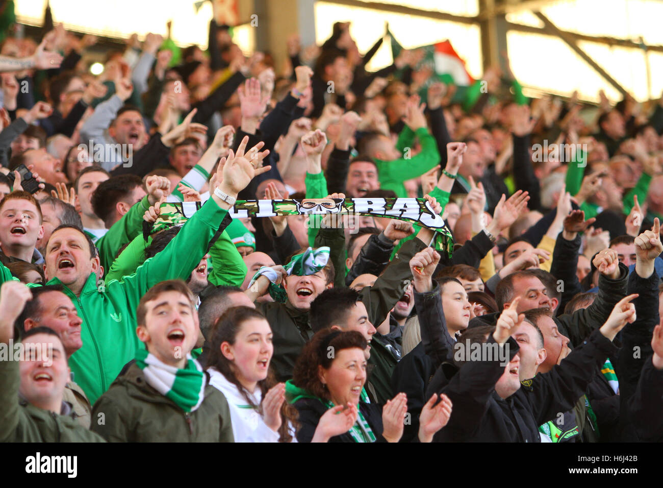 Football fans scotland pittodrie hi-res stock photography and images ...
