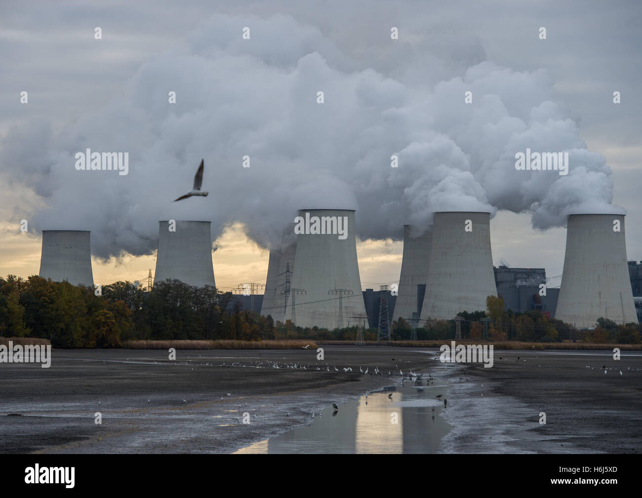 The steaming cooling towers of the Jaenschwalde brown coal power plant ...