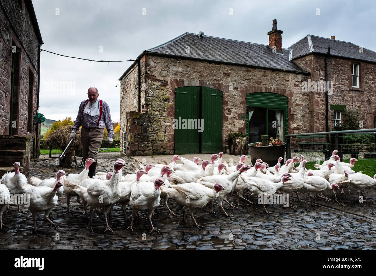 Jedforest Hunt Stock Photos & Jedforest Hunt Stock Images - Alamy