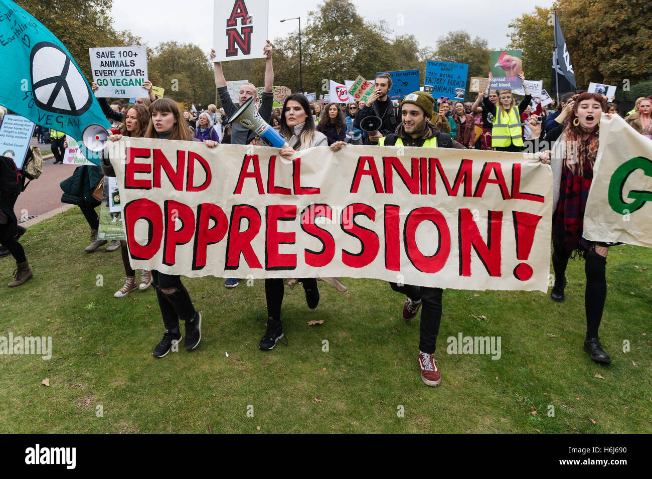 Action group full official hi-res stock photography and images - Alamy