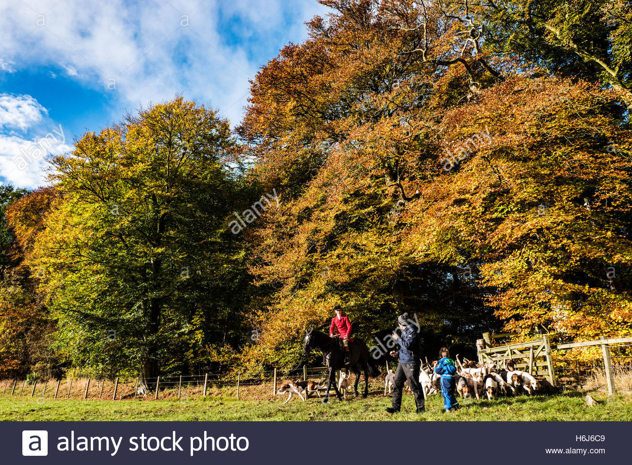 Lord Hunt Stock Photos & Lord Hunt Stock Images - Alamy