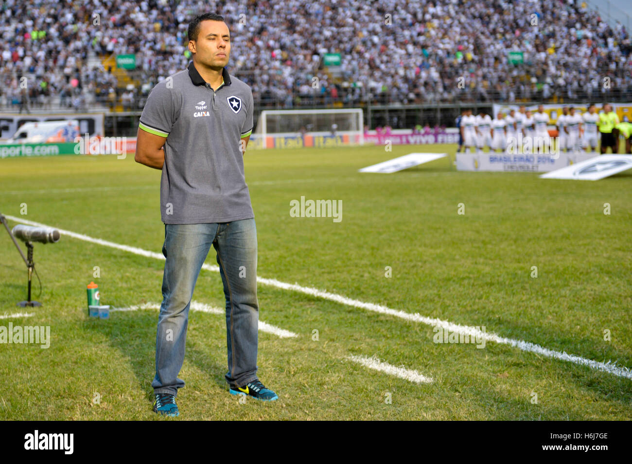 Rio De Janeiro, Brazil. 29th Oct, 2016. Coach Jair Ventura for Botafogo ...