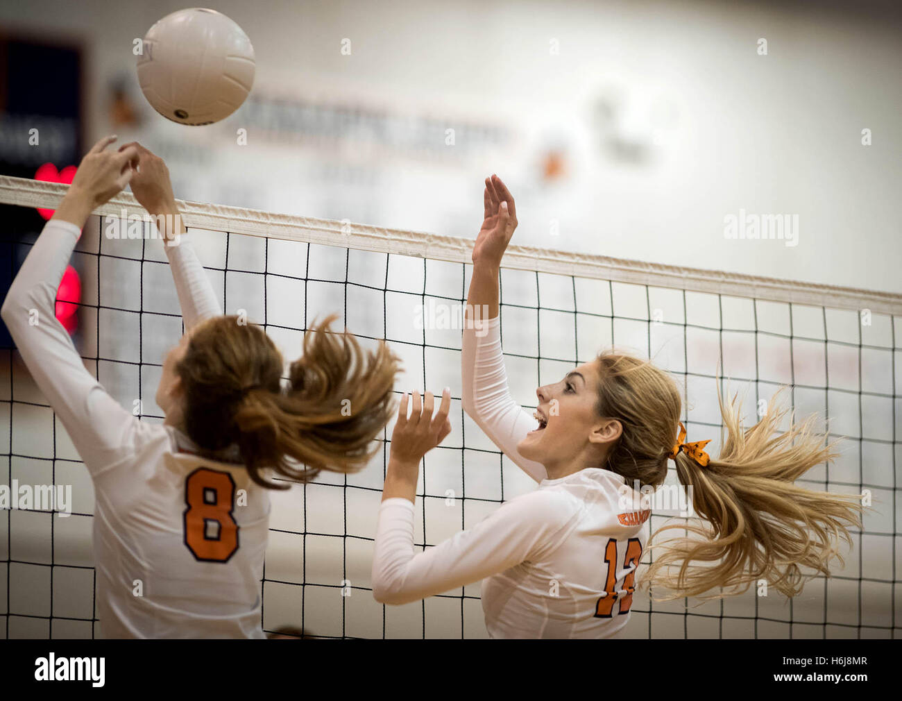 Buccaneers beach hi-res stock photography and images - Alamy