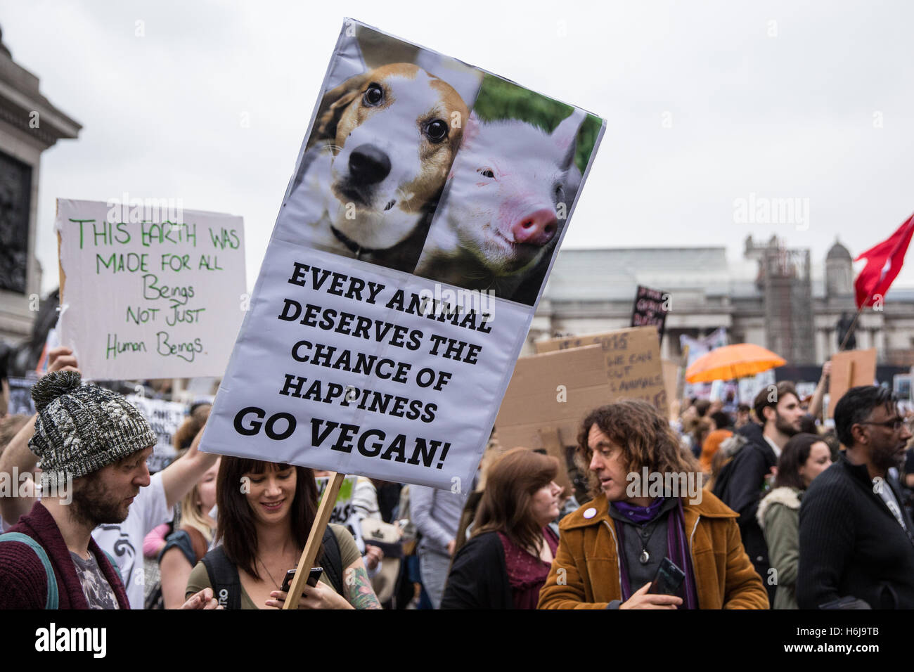Pig cruelty placards hi-res stock photography and images - Alamy
