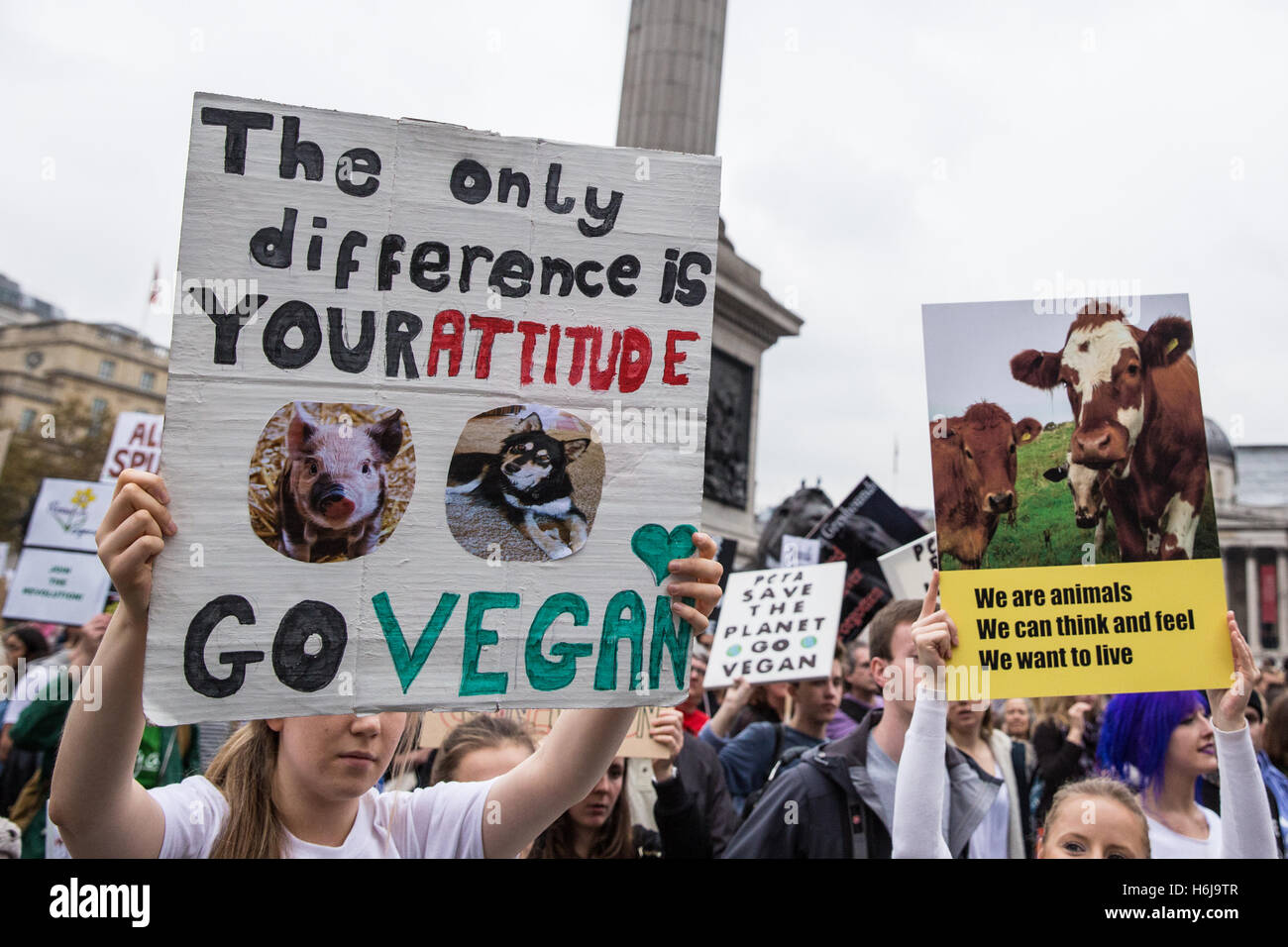 Vegan protest hi-res stock photography and images - Alamy