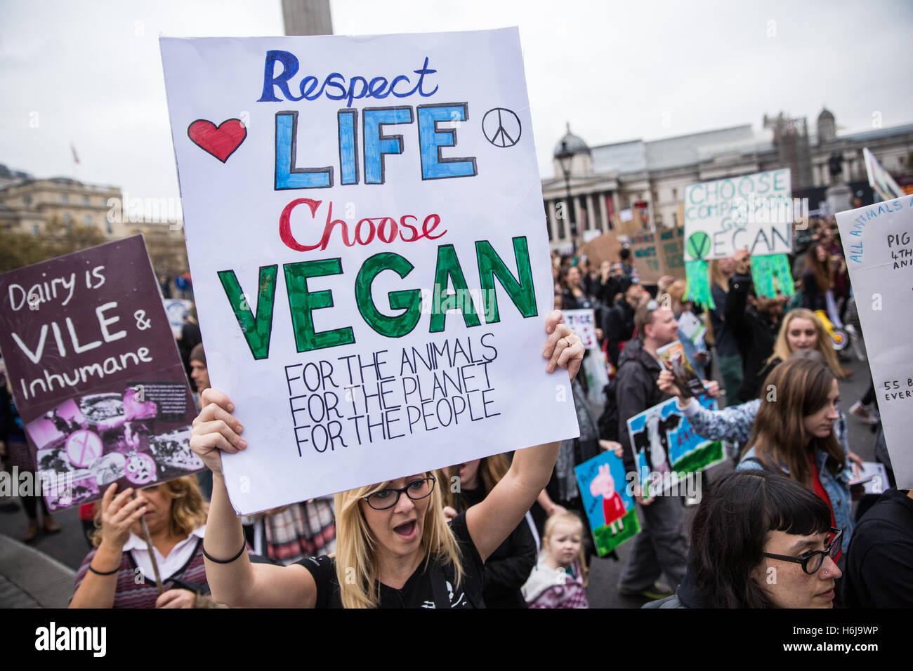 Animal planet activism hi-res stock photography and images - Alamy